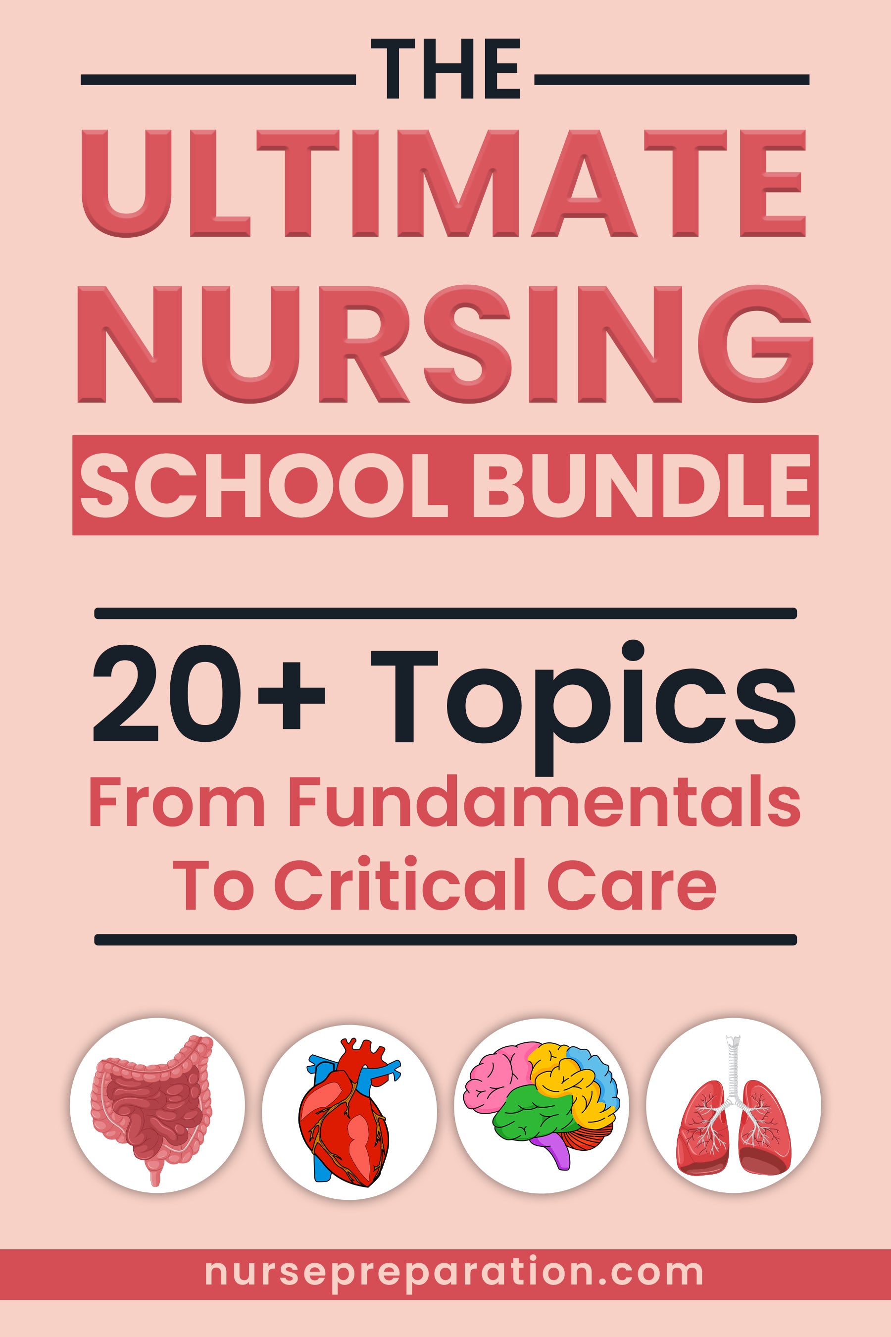 The Ultimate Nursing School Bundle – Nurse Preparation